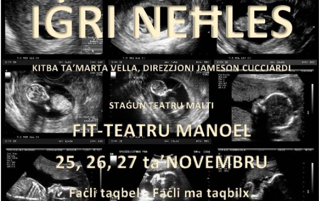 “Jiddispjaċini Li Marta Vella Qed Teħodha Qatta Bla Ħabel Kontra L ...