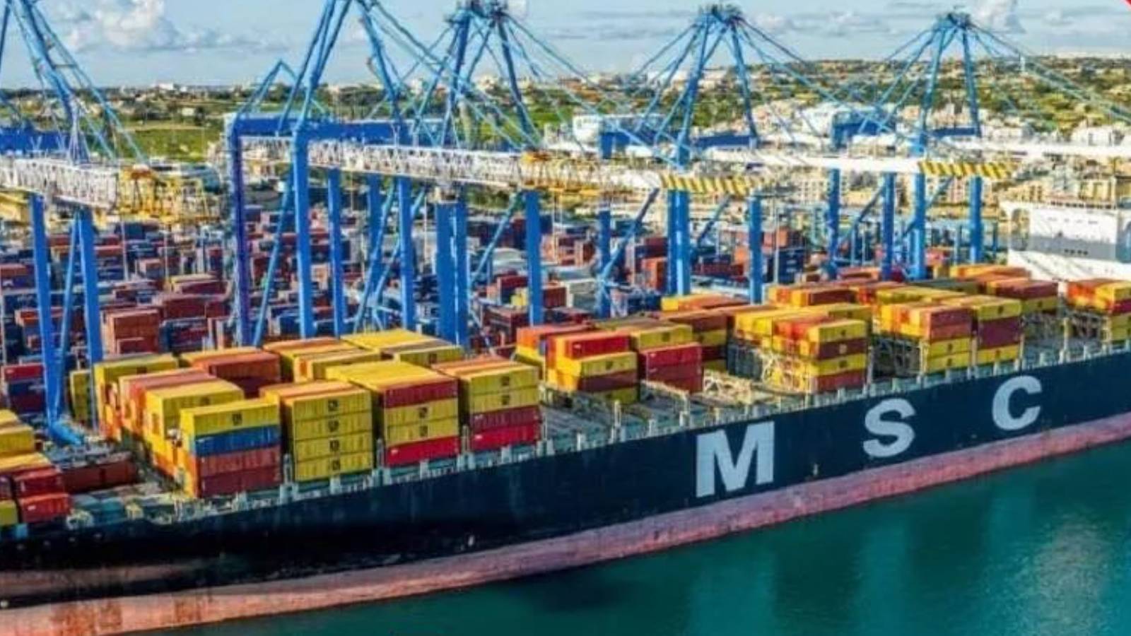 Malta Freeport Magħżul Mill-MSC Għal Rotta Diretta Ġdida Bejn L-Indja U ...