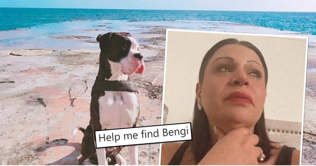 Bil-Filmat: "Nixtieq Nara L-Kelb Fejn Hu u Kif Inhu...Baqa' Parti Kbira ...