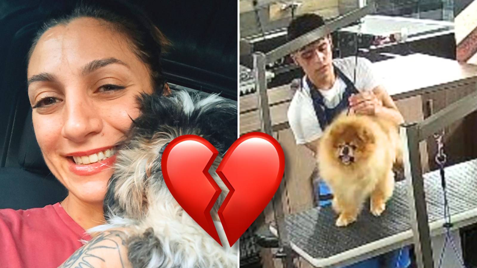 "L-Ebda Kelb Ma Jistħoqqlu Jgħaddi Minn Din It-Tbatija U Jmut Mewta ...