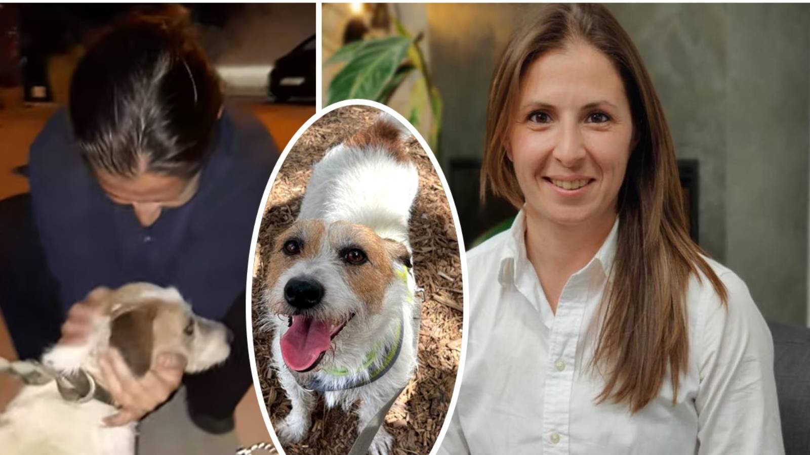 Bil-Filmat: Il-Mument Li Vinny Ta' Piscopo Gardens Tiltaqa' Mal-Kelba ...