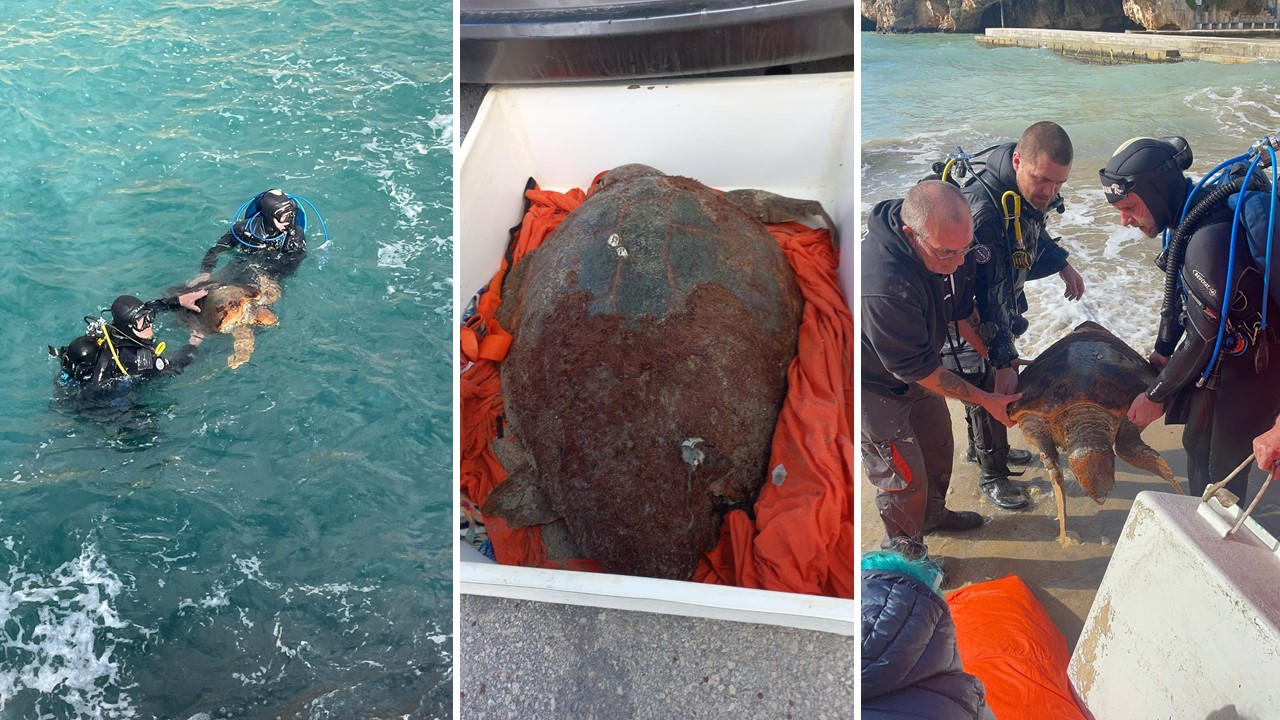 Salvata Fekruna Bl-Isem Rachel Fix-Xlendi F’Għawdex!