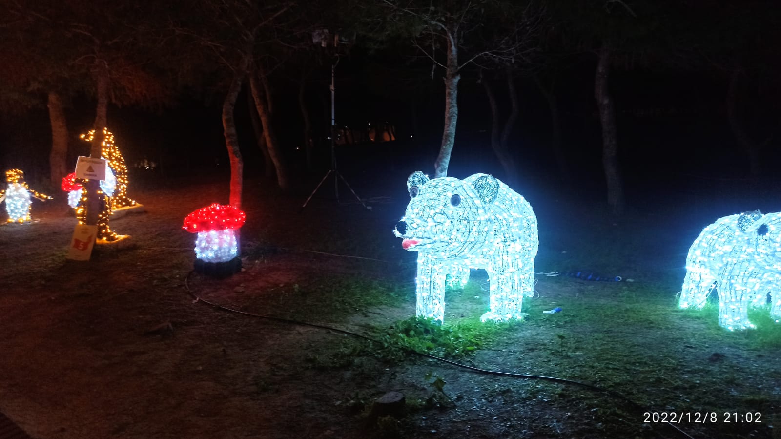 Christmas In The Park Jirritorna Bit-Tieni Edizzjoni Ġewwa Salini ...