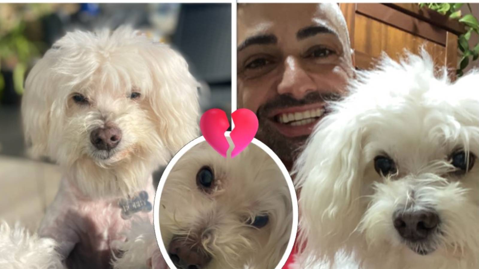 “Dal-Lejl Kien L-Aktar Iebes Għalik U Dalgħodu Kien L-Aktar Għodu Iebes ...