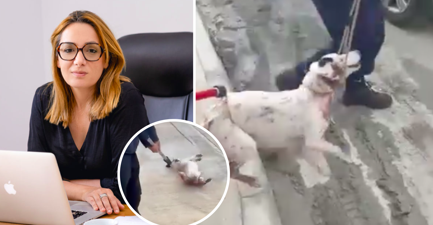 “L-Uffiċċju Tal-Kummissarju Beda Investigazzjoni” - B’Rispons Għall ...