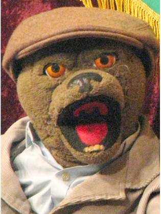 Illum Griz Ta' Mini Bugz Qed Jiċċelebra Għeluq Is-26 Sena Tiegħu