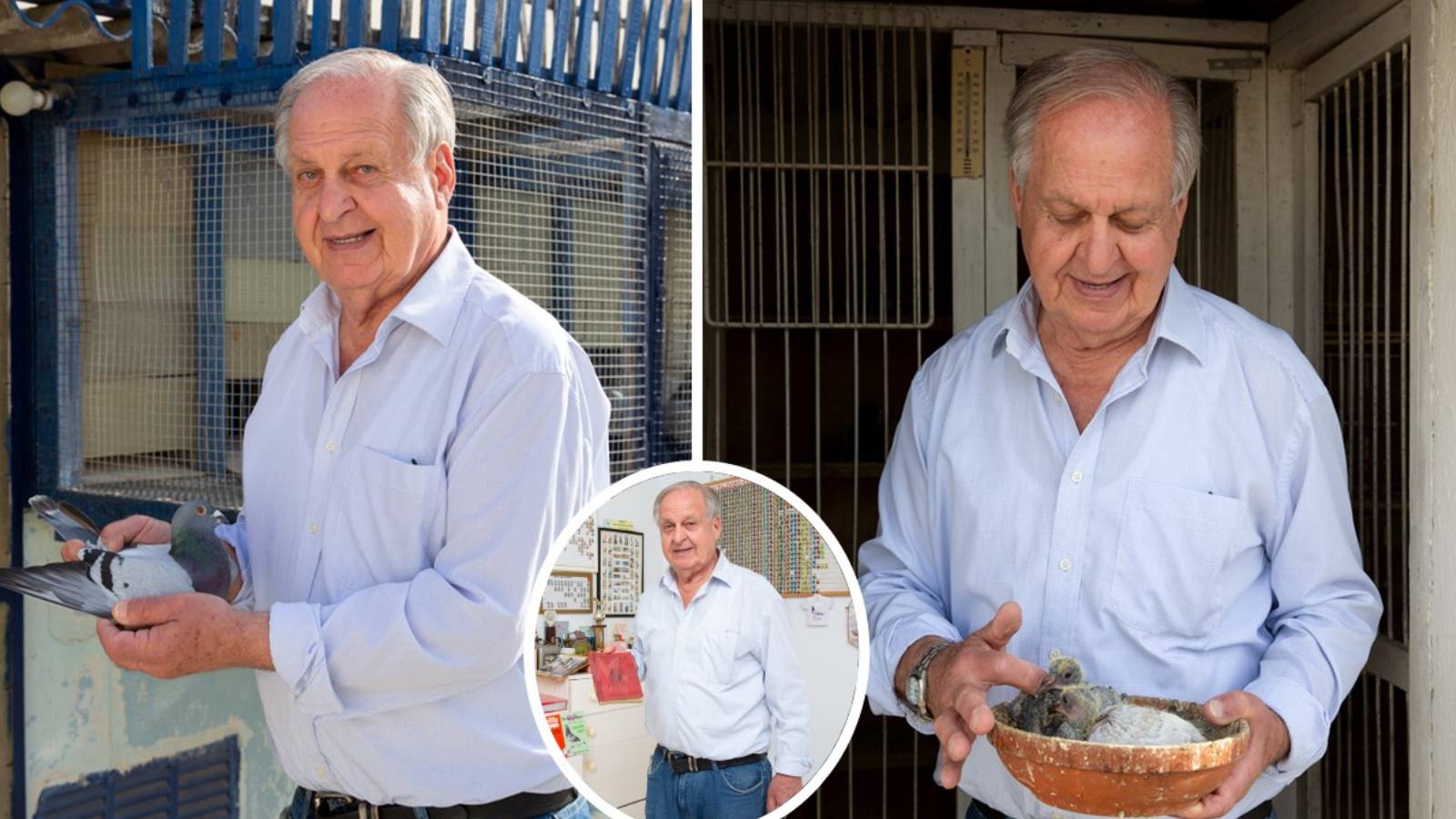 “14,000 Ċurkett, Se Ssibli Ċrieket Ta’ Kull Sena, Minn Madwar Id-Dinja ...